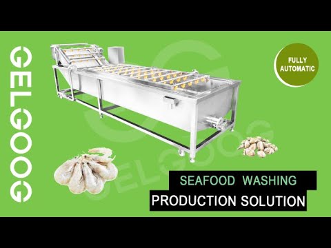 Commercial Seafood and Shrimp Washer Machine Manufacturers | Fruit and ...