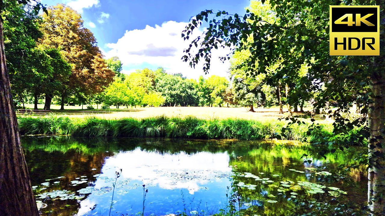 Forest River (HDR10+) 4K Ultra HD Sample Footage HDR10 Plus Video - YouTube