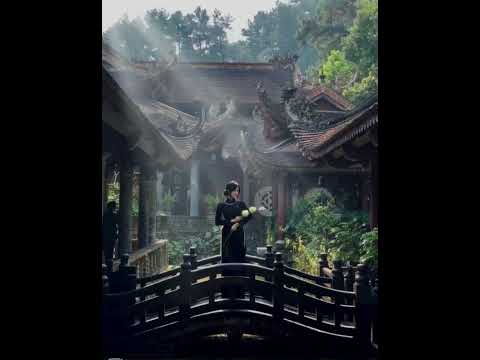The 🎧 Song🧨Vietnam💥melody sek🎆🎼🗝️..