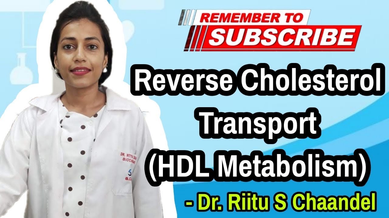 reverse cholesterol transport or metabolism of HDL - YouTube