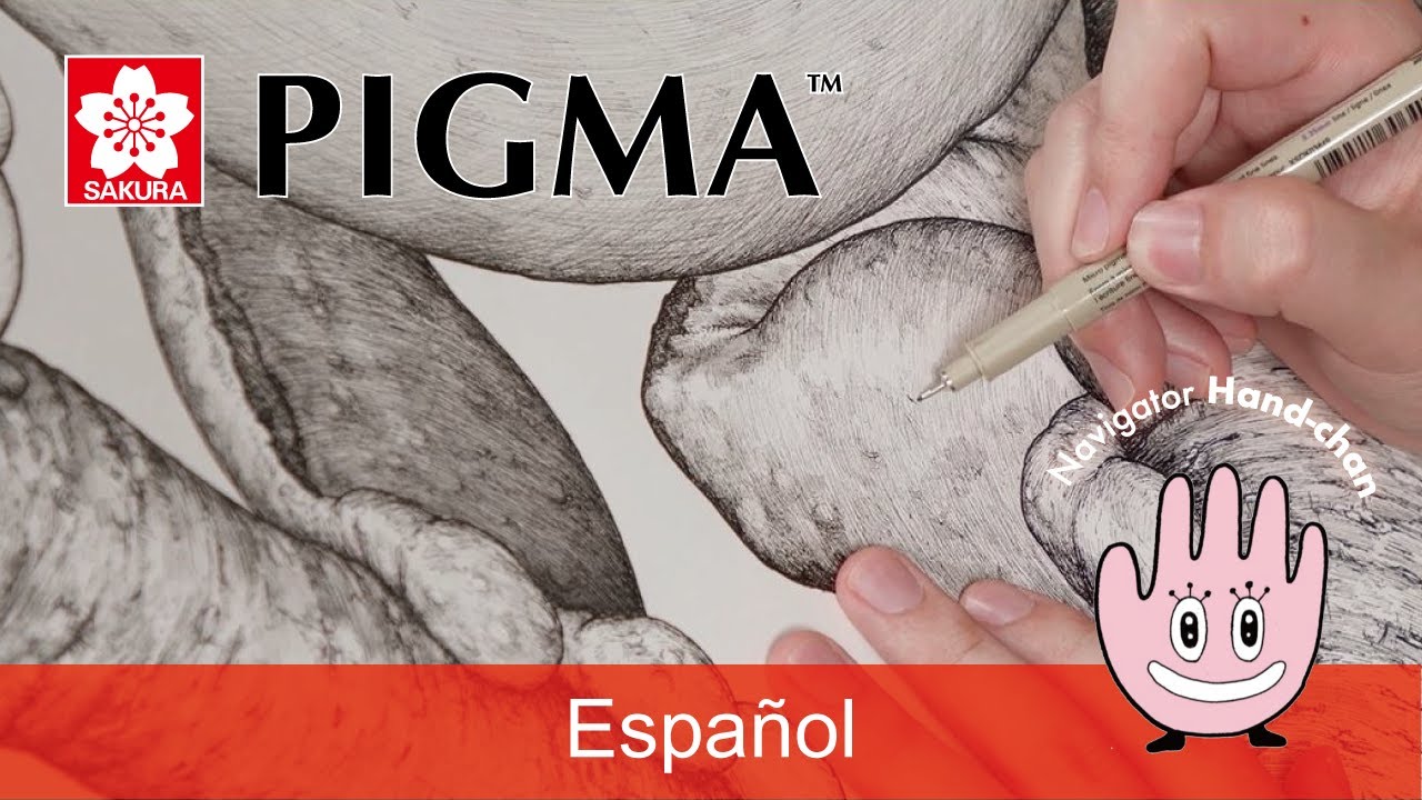 (Español) 3 Reasons to Choose PIGMA - YouTube