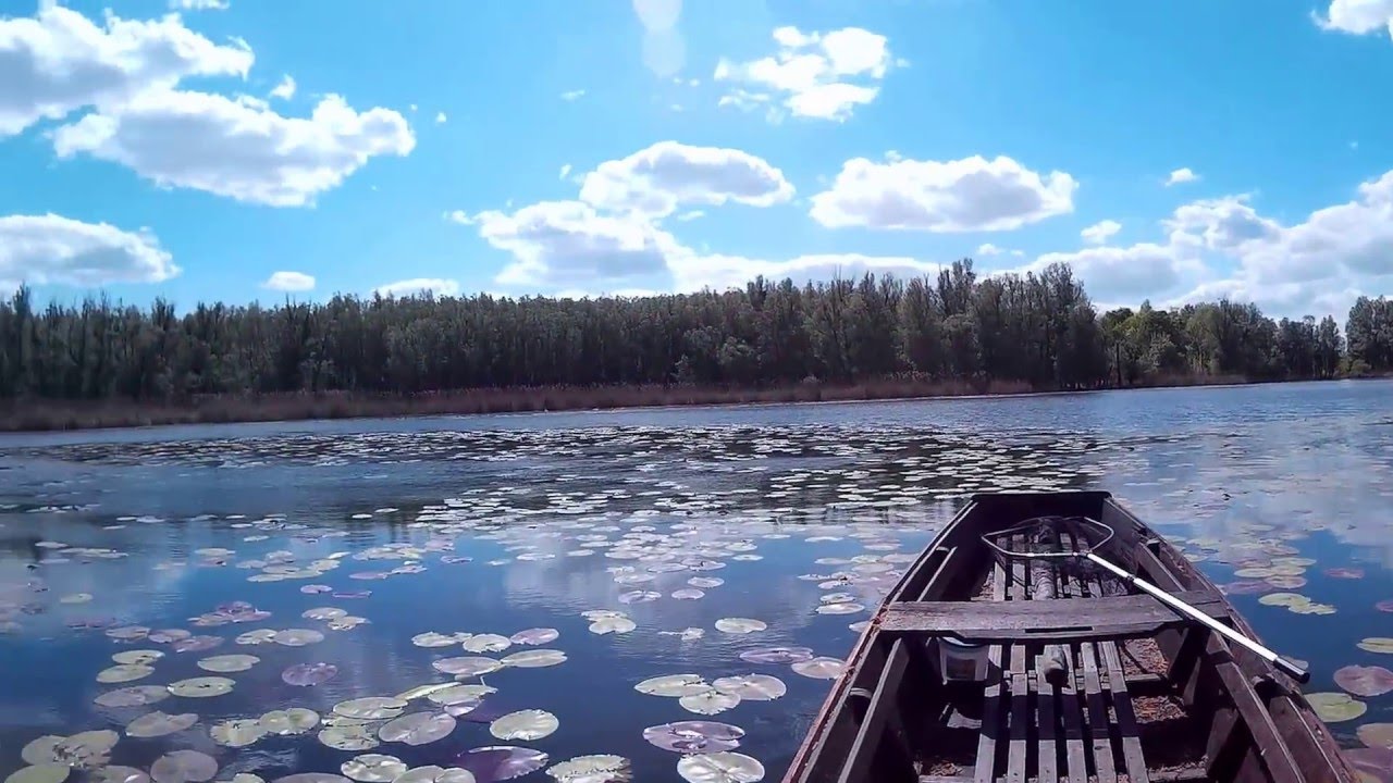 Wild carp fishing in Serbia part 1 - YouTube