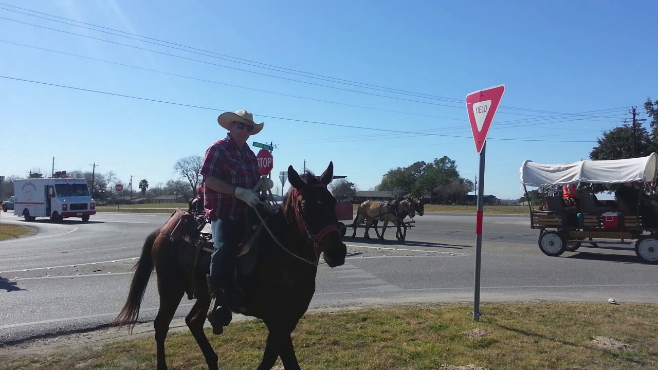 South Texas Trail Rides to the San Antonio Rodeo and Stock Shows - YouTube