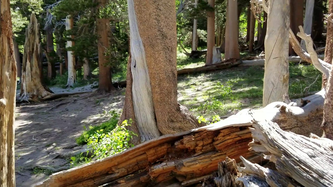 Strenuous hiking. Goal achieved! - YouTube