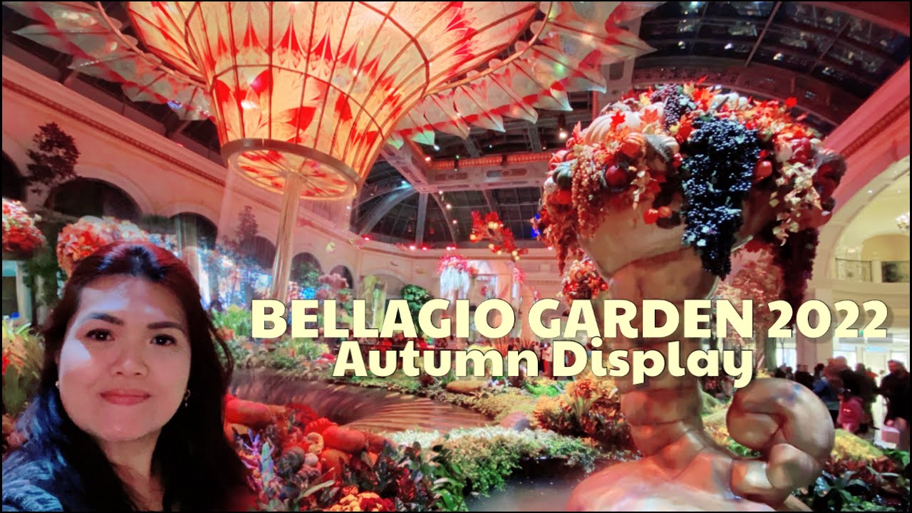 Bellagio Garden Autumn Display| Bellagio Conservatory & Botanical ...