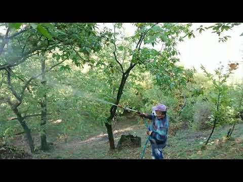 FİKRET AKGÜN BEYDAĞ ERİKLİ 12 KASIM 2018 İLK UYGULAMA  2