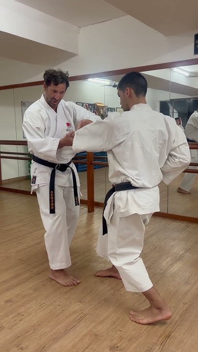 Educativo Hikite Oi-Zuki - entendendo alavanca - Professor Paulo Pestana #jka #karate #shotokan ...