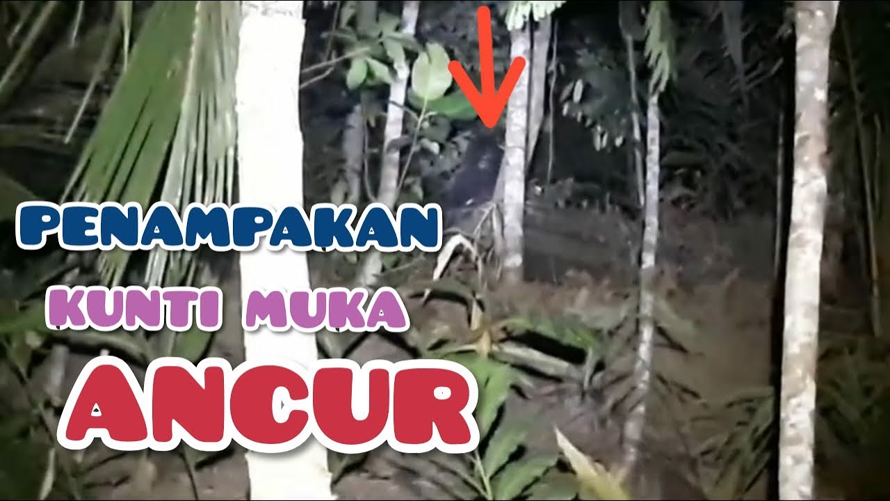 🔴 Kuntilanak Muka Ancur Menyeramkan - YouTube