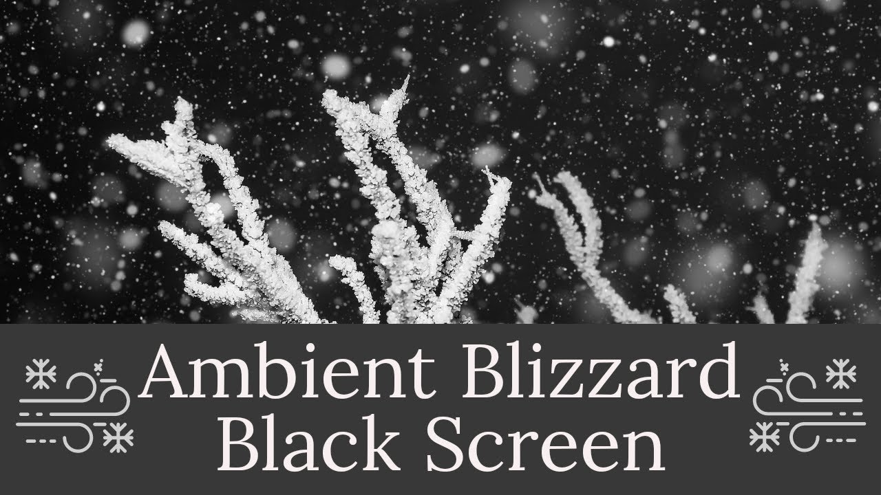 Blizzard Night Ambience: White Noise Sounds Of Snow, Howling Wind ...
