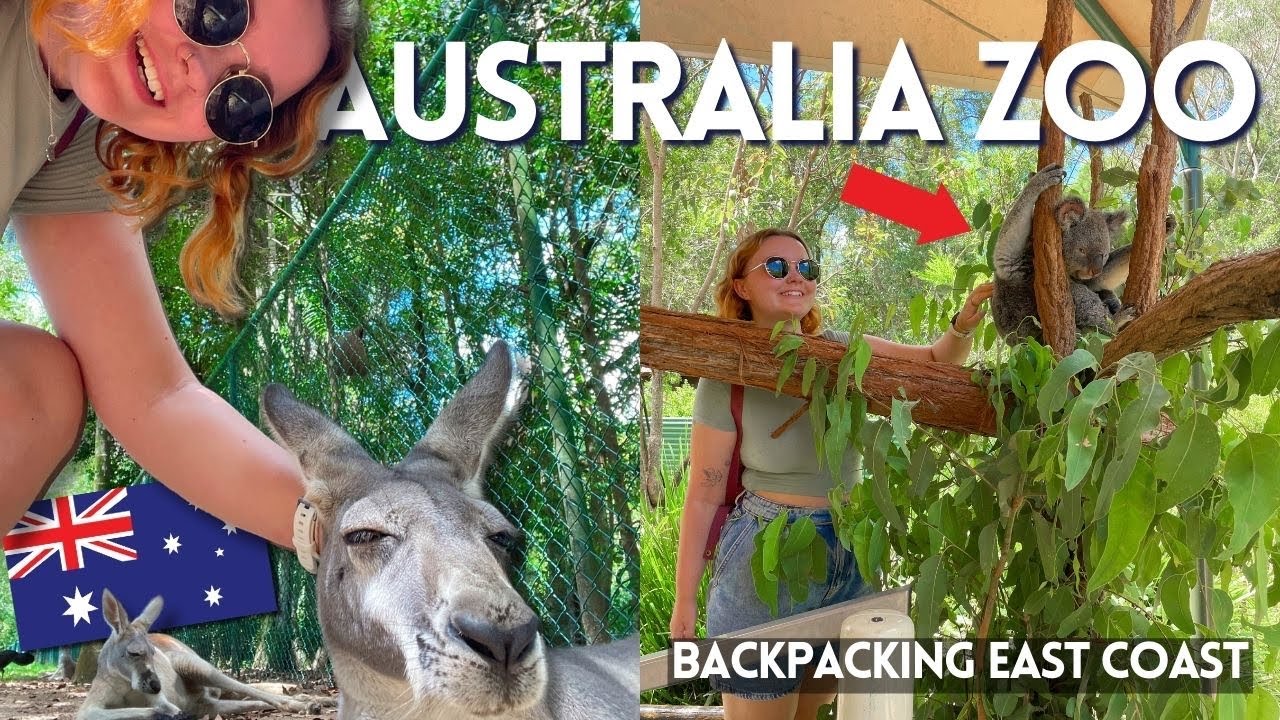 You NEED To KNOW THIS Before Coming Here (Australia Zoo, Brisbane ...