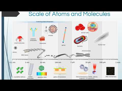 Scale, Proportion of Atoms & Molecules - YouTube