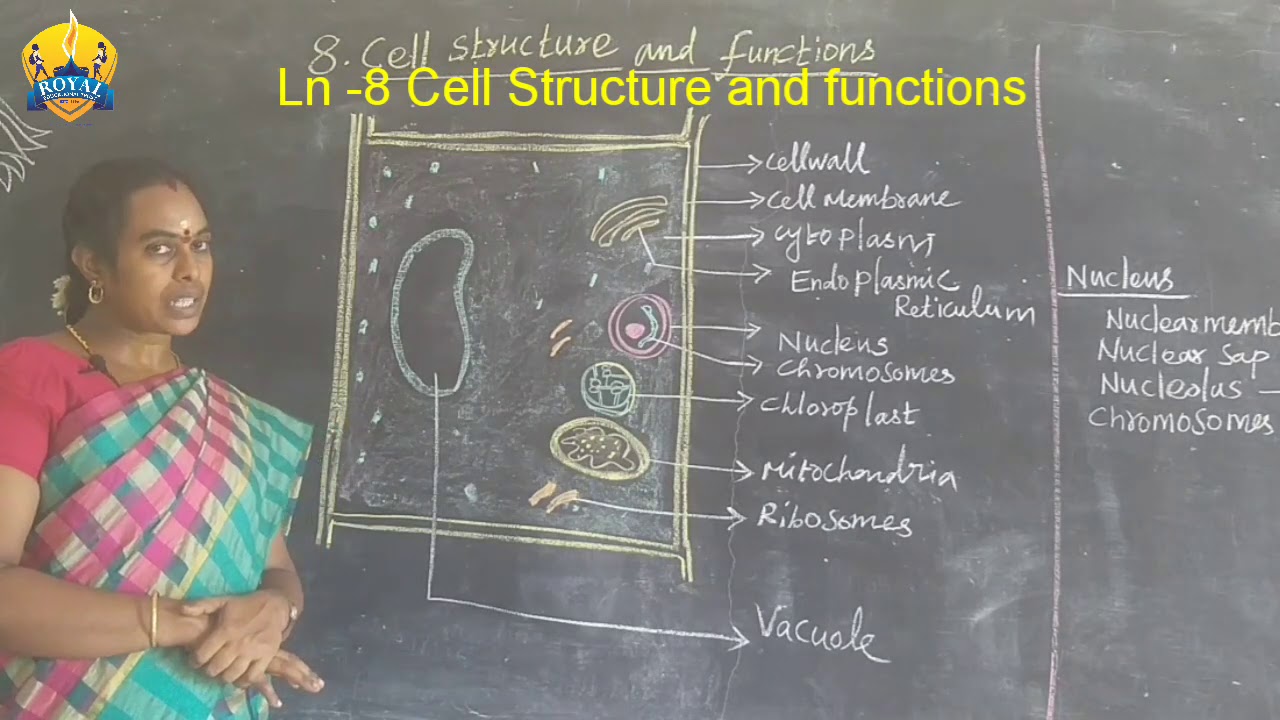 class 8 | Science | Lesson 8 | Cell Structure and it's function ...