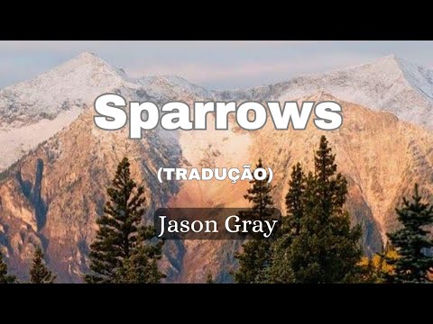 Jason Gray - Sparrows (tradução) - YouTube