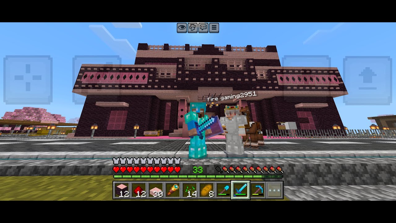 Minecraft; Survival Private SMP LIVE ( HINDI ) - YouTube