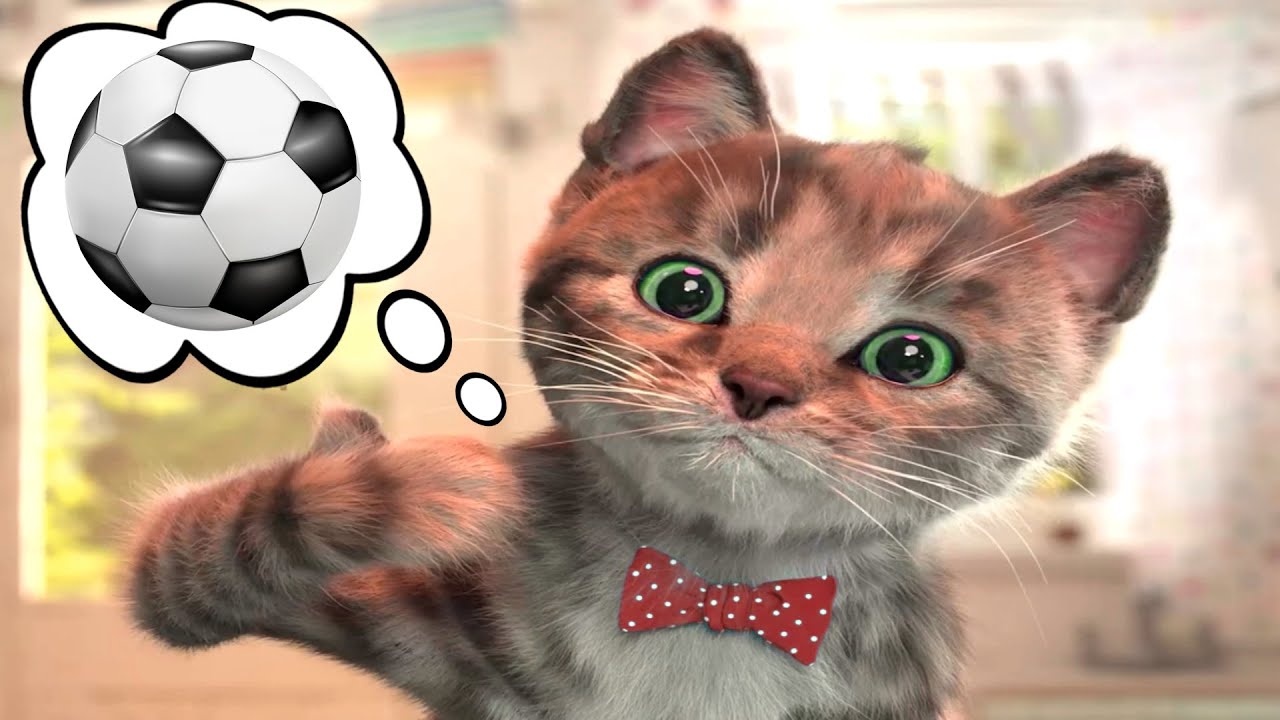 FUN LITTLE KITTEN ADVENTURE- Little Kitten Adventures - Play Fun Cute ...