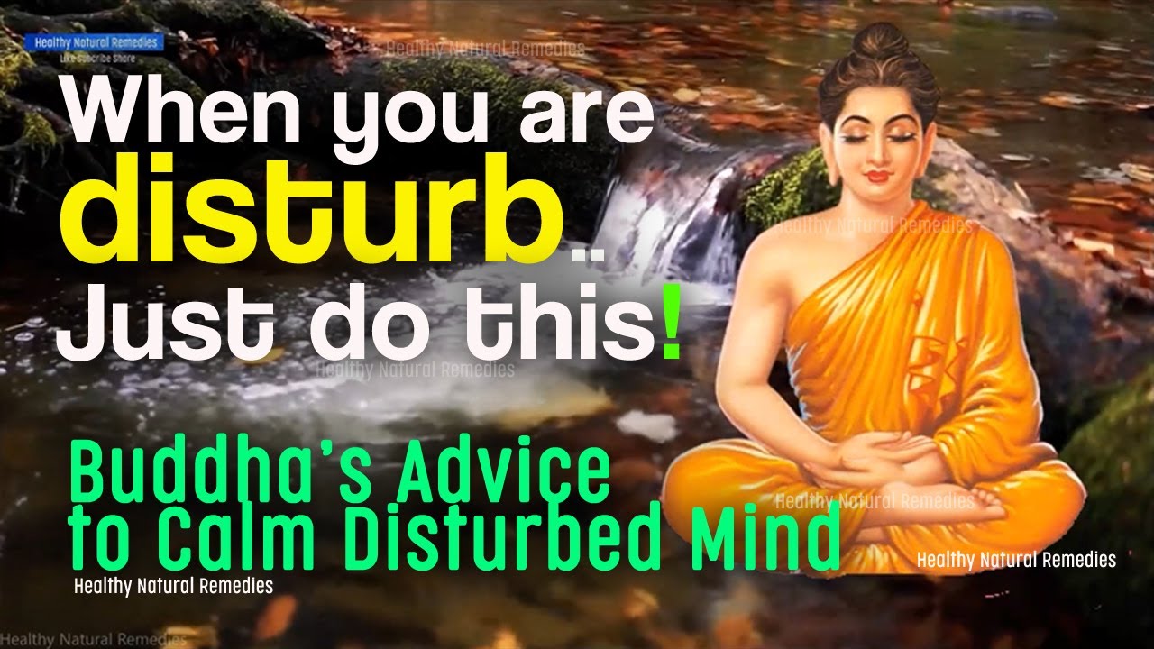 When you are disturb, just do this | Buddha’s Advice to Calm Disturbed ...