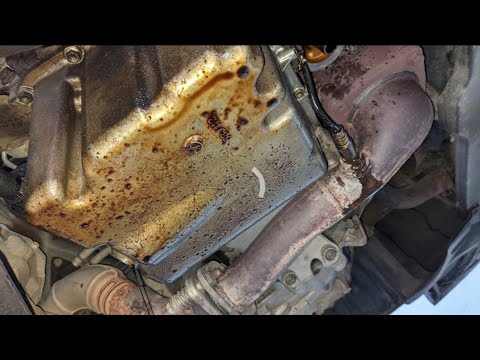 Peugeot 307 306 308 engine oil leak. oil cooler bracket seal. Intake ...