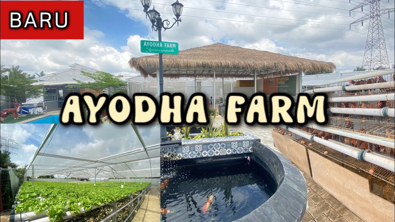 Ayodha Farm Edukasi Wisata Baru Di Tangerang #wisata #edukasi #farm # ...