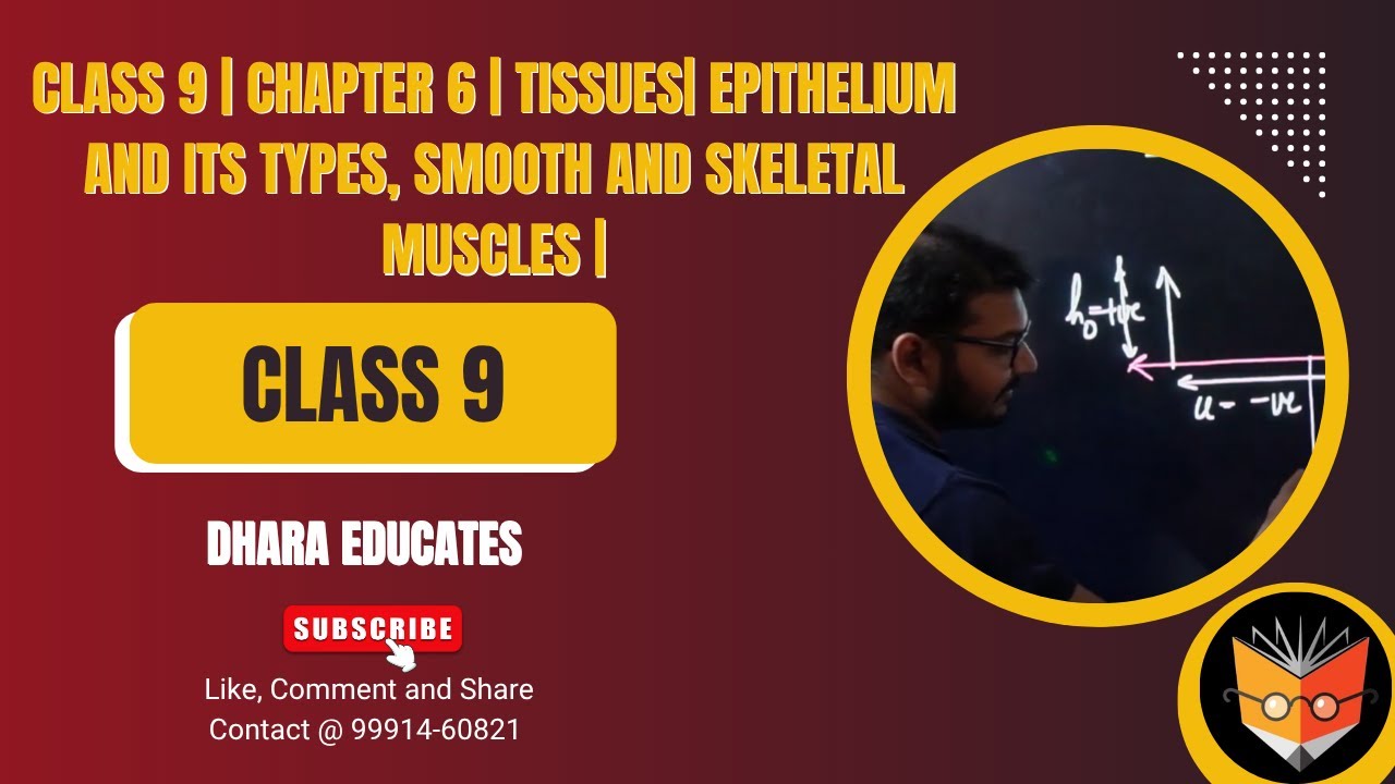 Class 9 | Chapter 6 | tissues| Epithelium and its types, Smooth and ...