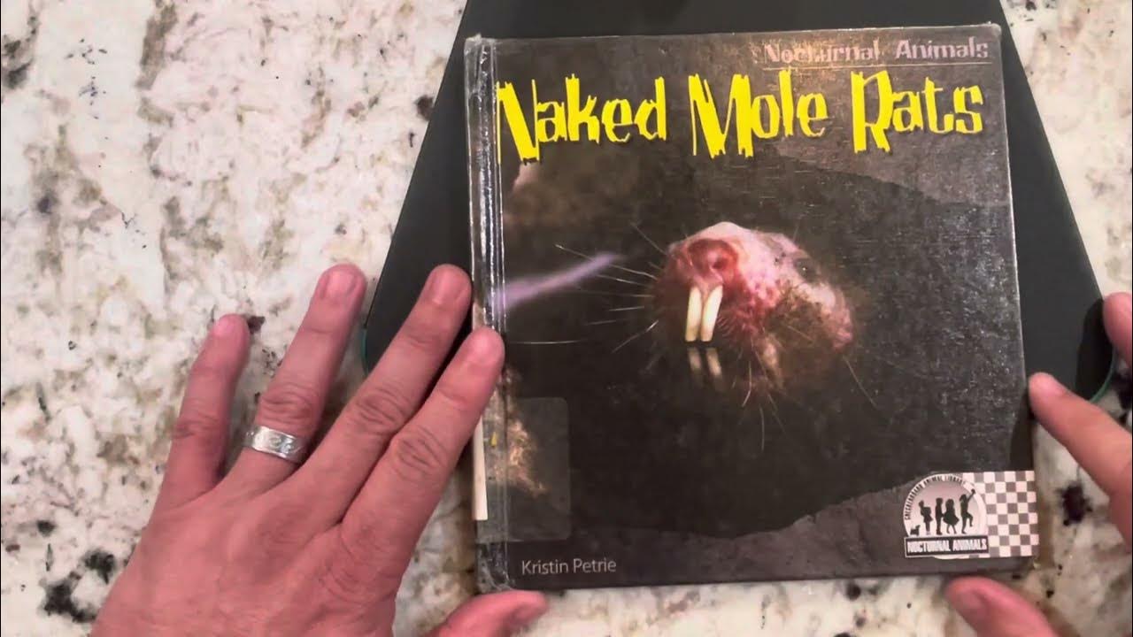 Naked mole, rats is an educational nonfiction read aloud for kids ...