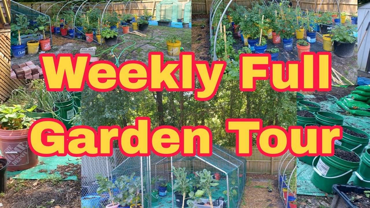 AMAZING GRACE GARDEN | Full Garden Tour Everything Is Growing So Fast ...