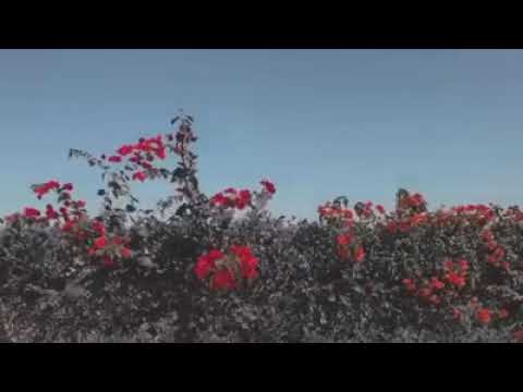 (#evfilm) iniibig - emilio venegas jr.