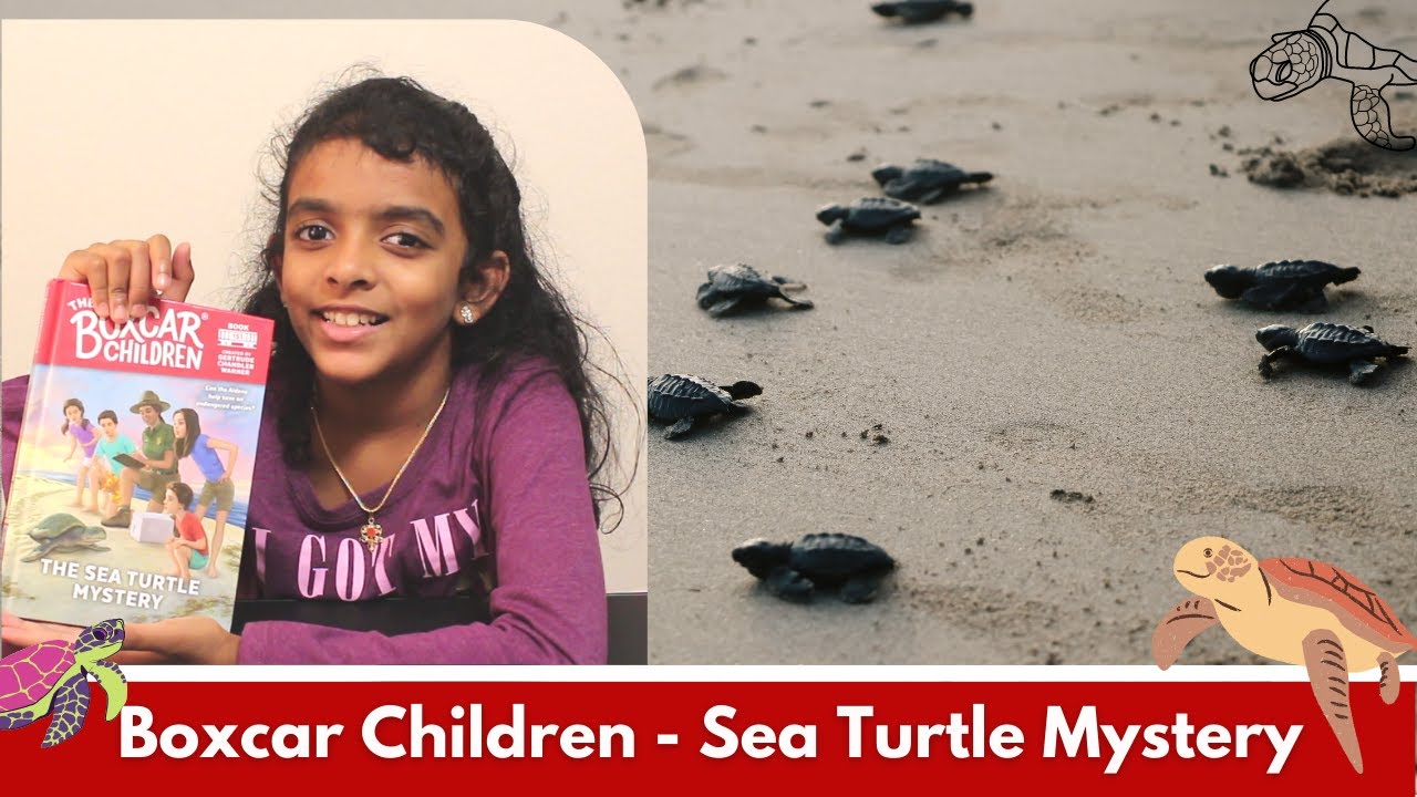 The Sea Turtle Mystery /Kids' Book Review / The Boxcar Children ...