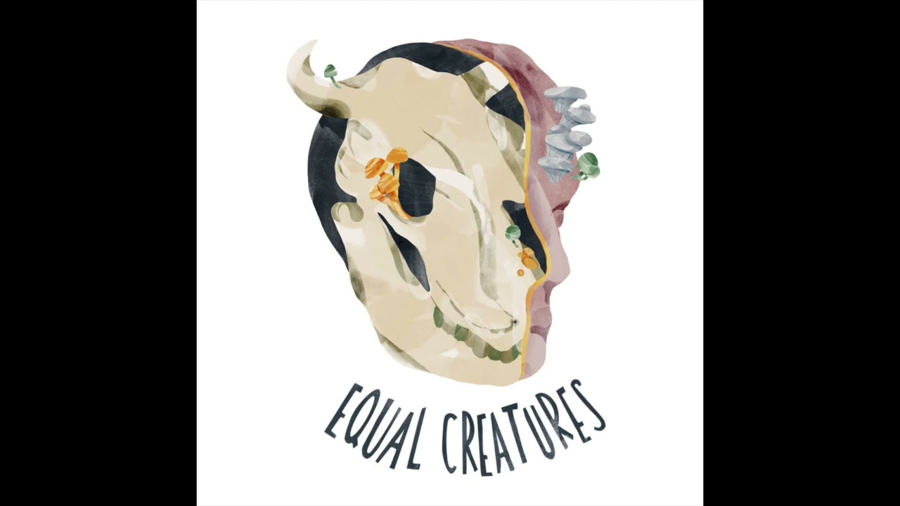 Waiting In The Wings - Equal Creatures Acordes - Chordify