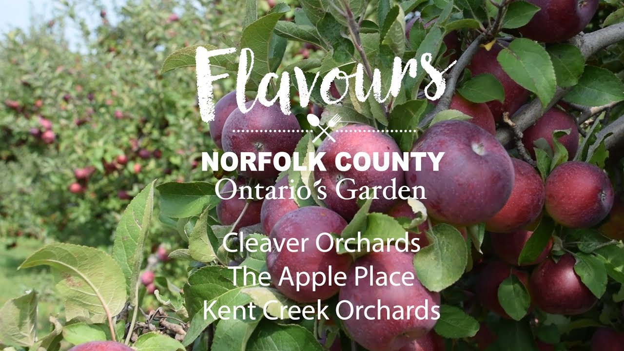 Apples: Norfolk County, Ontario's Garden - YouTube