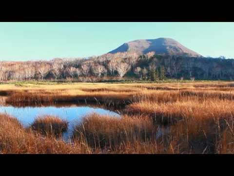 晩秋でも美しい神仙沼 @北海道共和町 Kyowa Shinsen Marsh, Hokkaido - YouTube