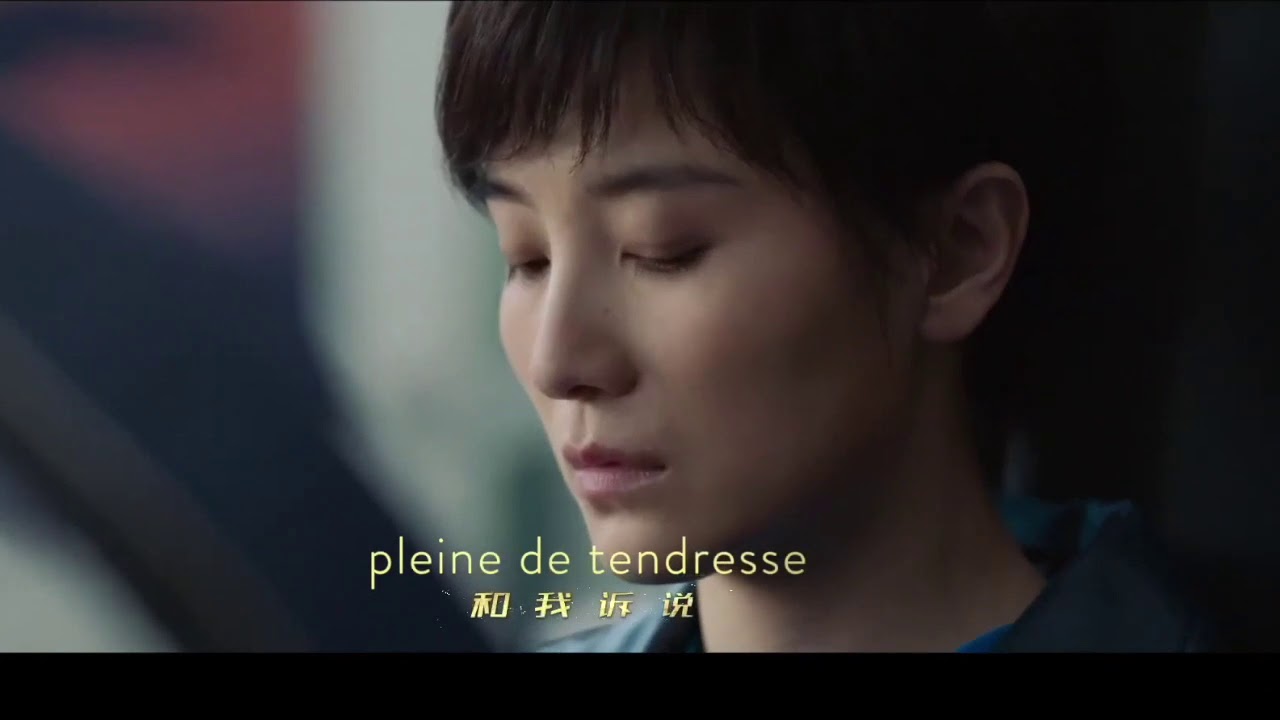 Me and my motherland 我和我的祖国【法语版】 - YouTube