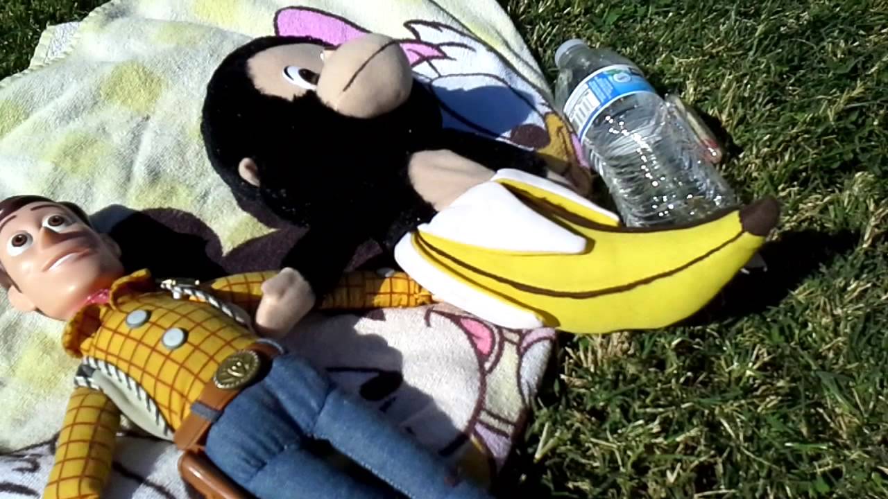 Shrek and woodys picnic - YouTube