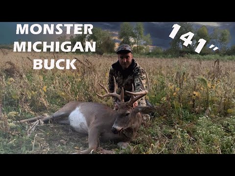 HUGE Michigan Whitetail Buck - YouTube