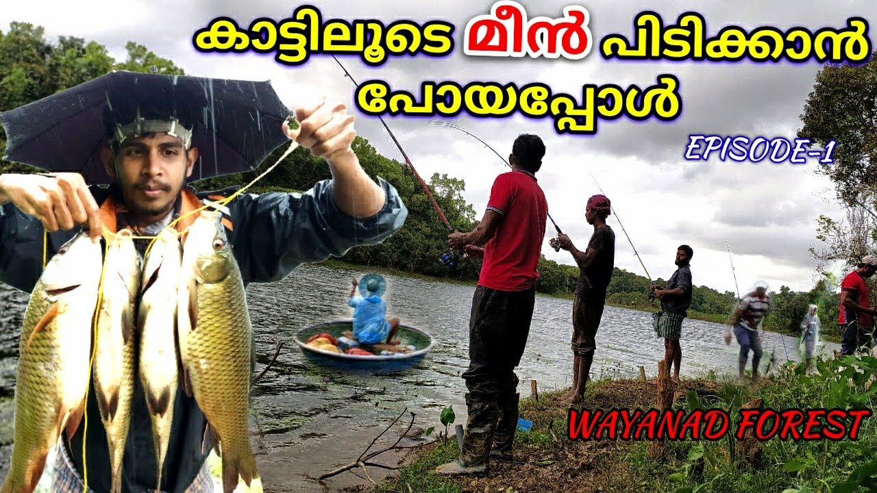 part-1🎣വയനാടൻ കാട്ടിലെ കാർപ്പ് വേട്ട🦈Carp Fishing|Rohu Fishing|Fishing ...