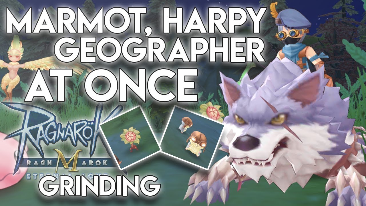 MARMOT,GEOGRAPHER & HARPY GRINDING SPOT, How Much Zeny? - Ragnarok ...