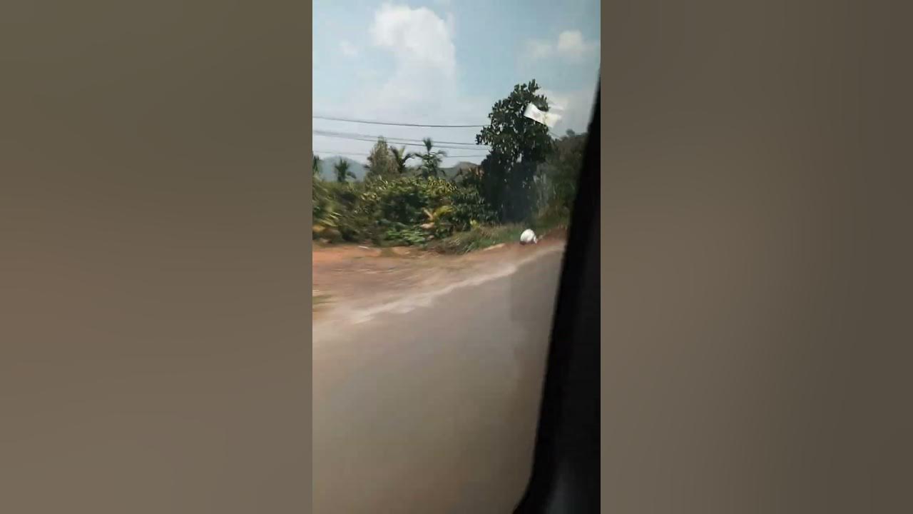 25 tháng 8, 2024 - YouTube