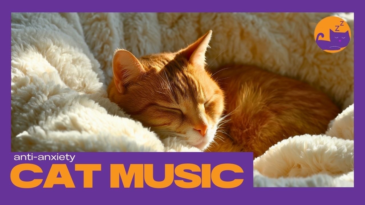 15 HOURS of Soothing Music for Cats - Calming Gentle Instrumentals 💤🐱 ...