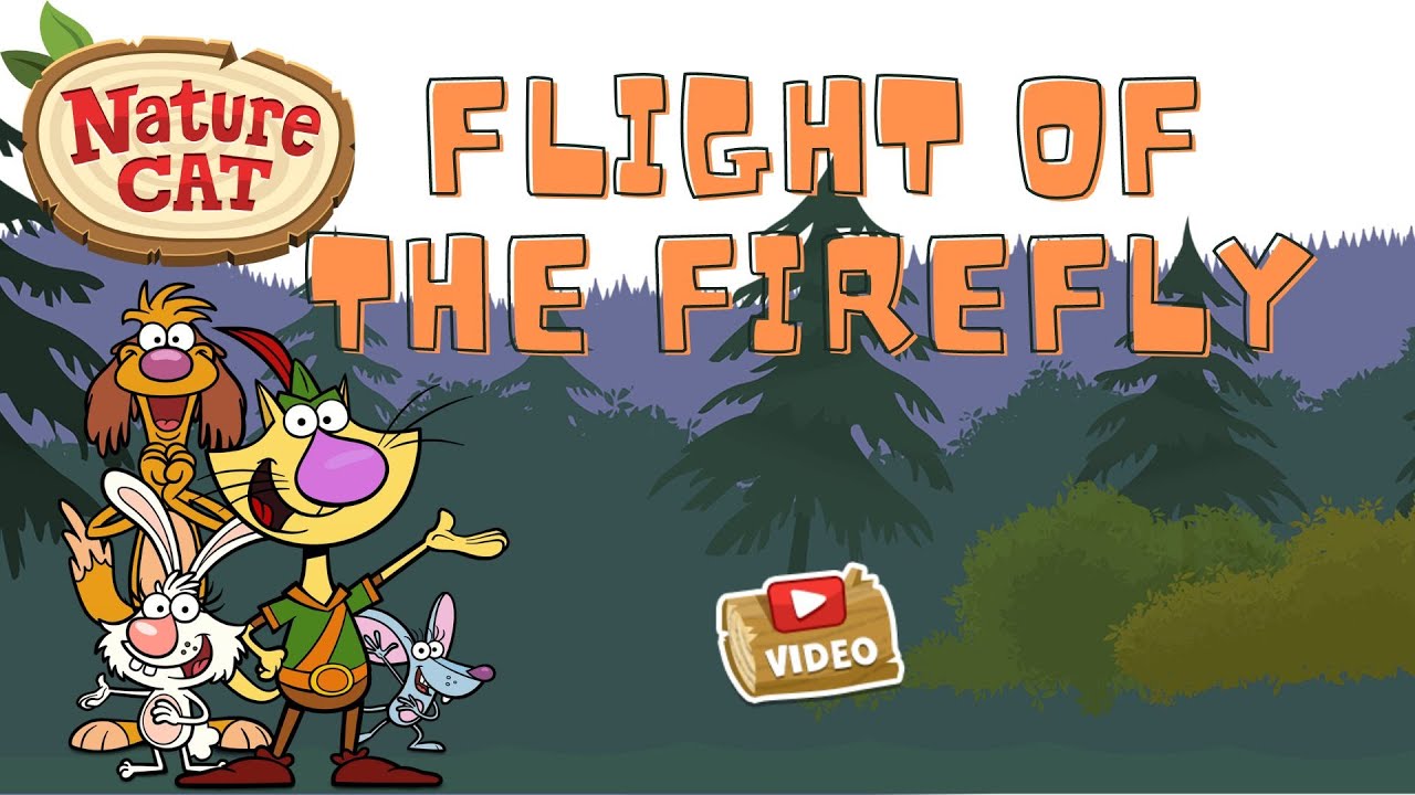 Flight of the Firefly | Nature CAT | PBS KIDS Videos - YouTube