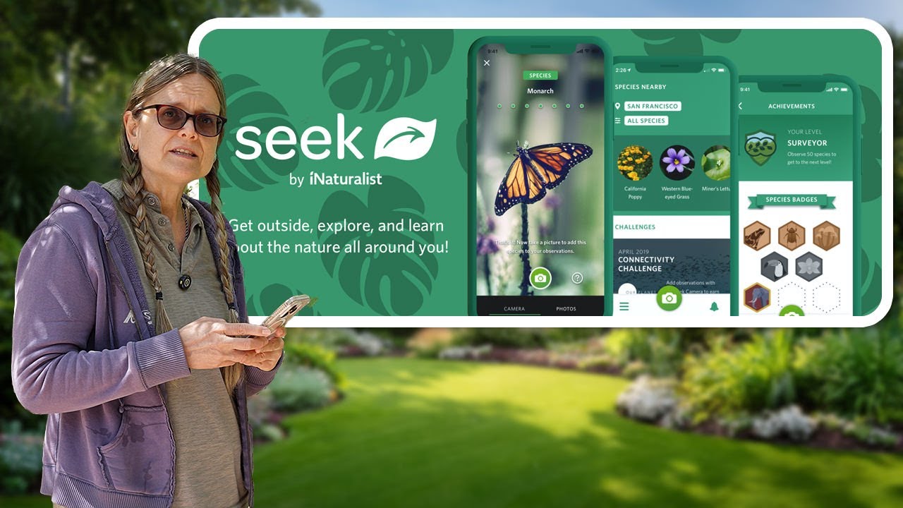 This Free App Identifies Plants, Bugs, and Animals in Seconds (Seek App ...