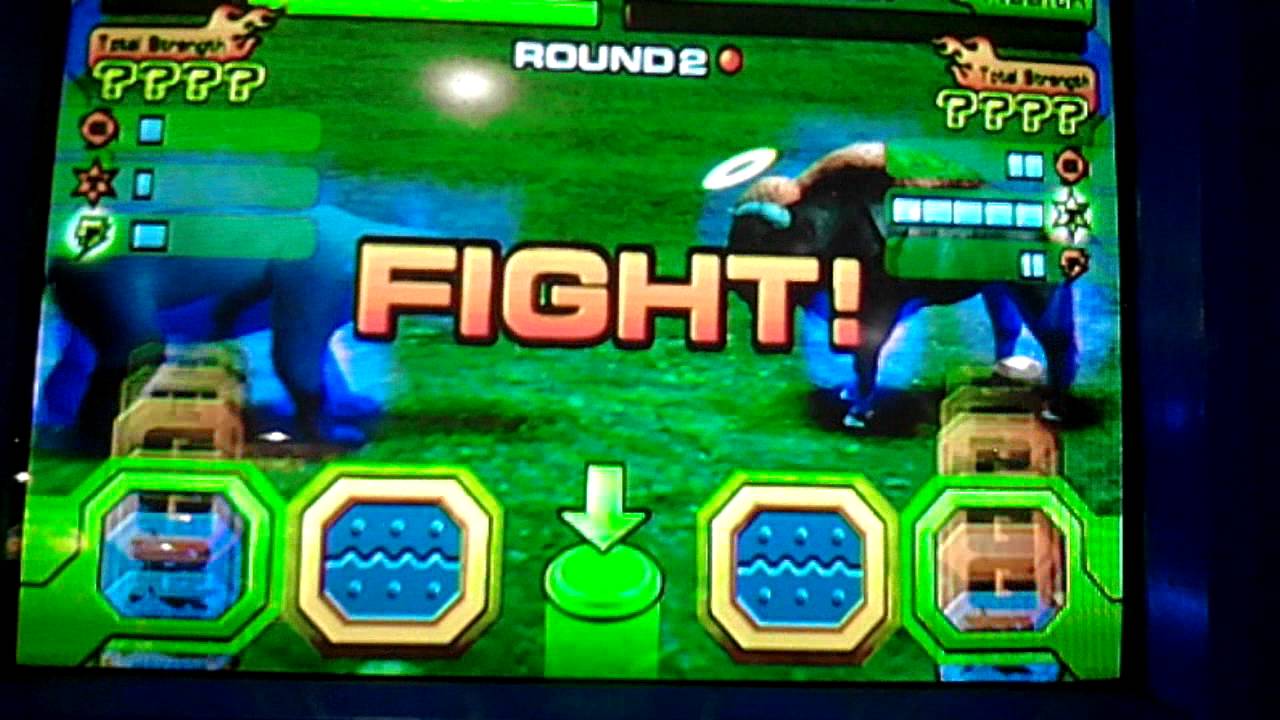 animal kaisar yokozuna vs don bison - YouTube