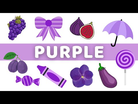 Learn Purple Things | Color Learning for Toddlers