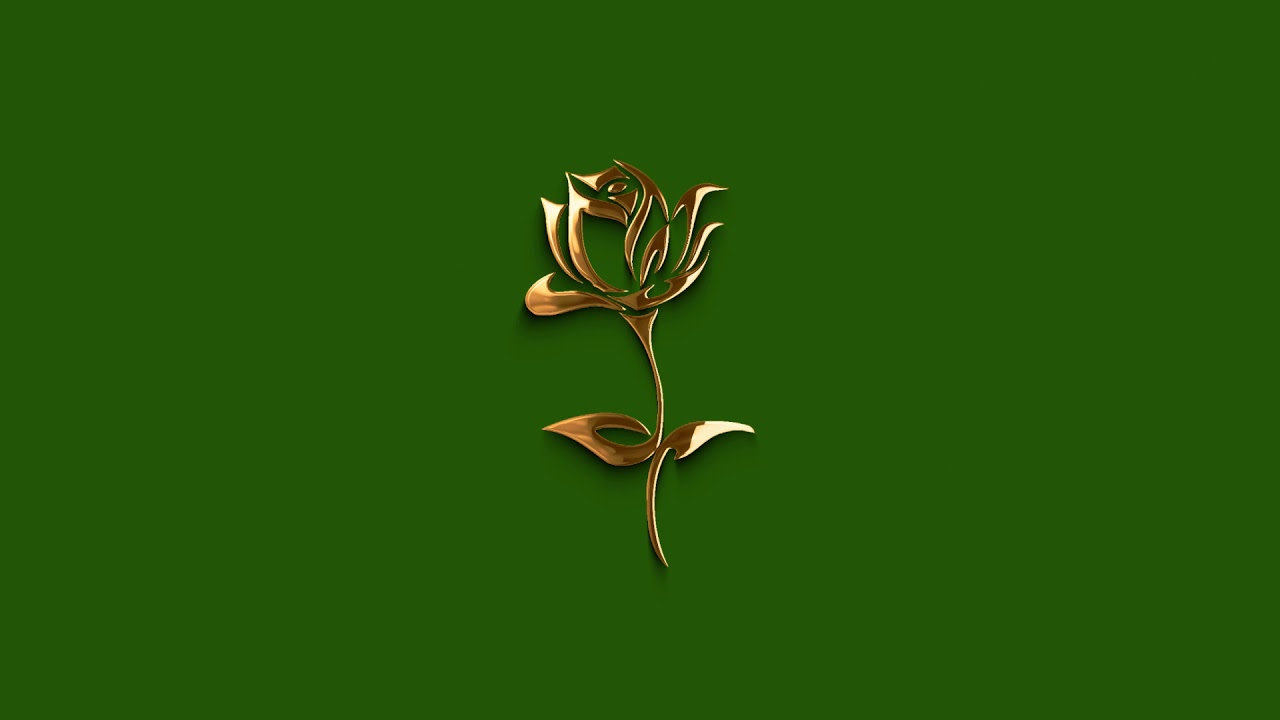 Golden Rose 3d green Screen Free Dowload 2022 - YouTube