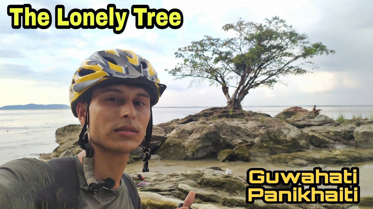A Beautiful Place Near Guwahati || The Lonely Tree 🌲#thelonelytree #guwahati - YouTube