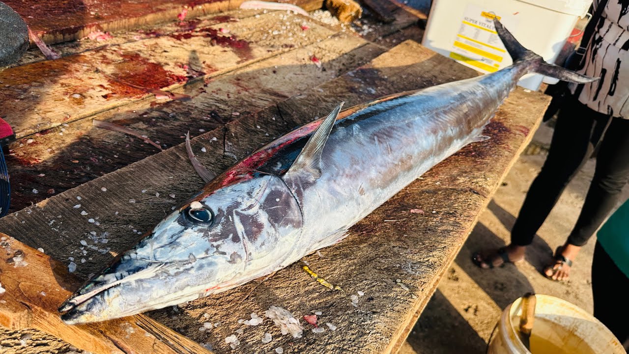 Massive 22Lb Whaoo Fish Cutting | Whaoo Fish Cutting Skills - YouTube