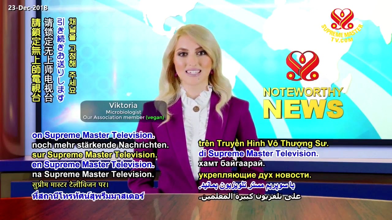 Supreme Master Television Live Stream 2018 12 23 - YouTube