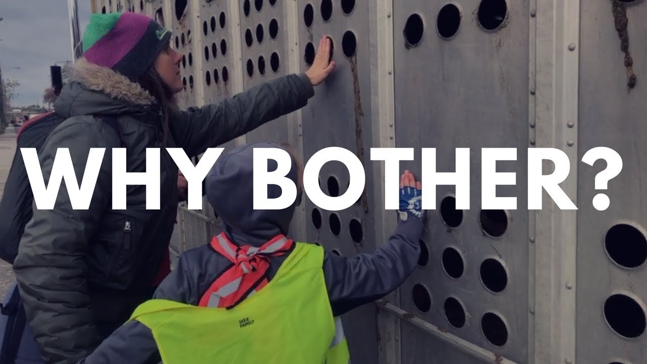 WHY DO I BOTHER? - YouTube