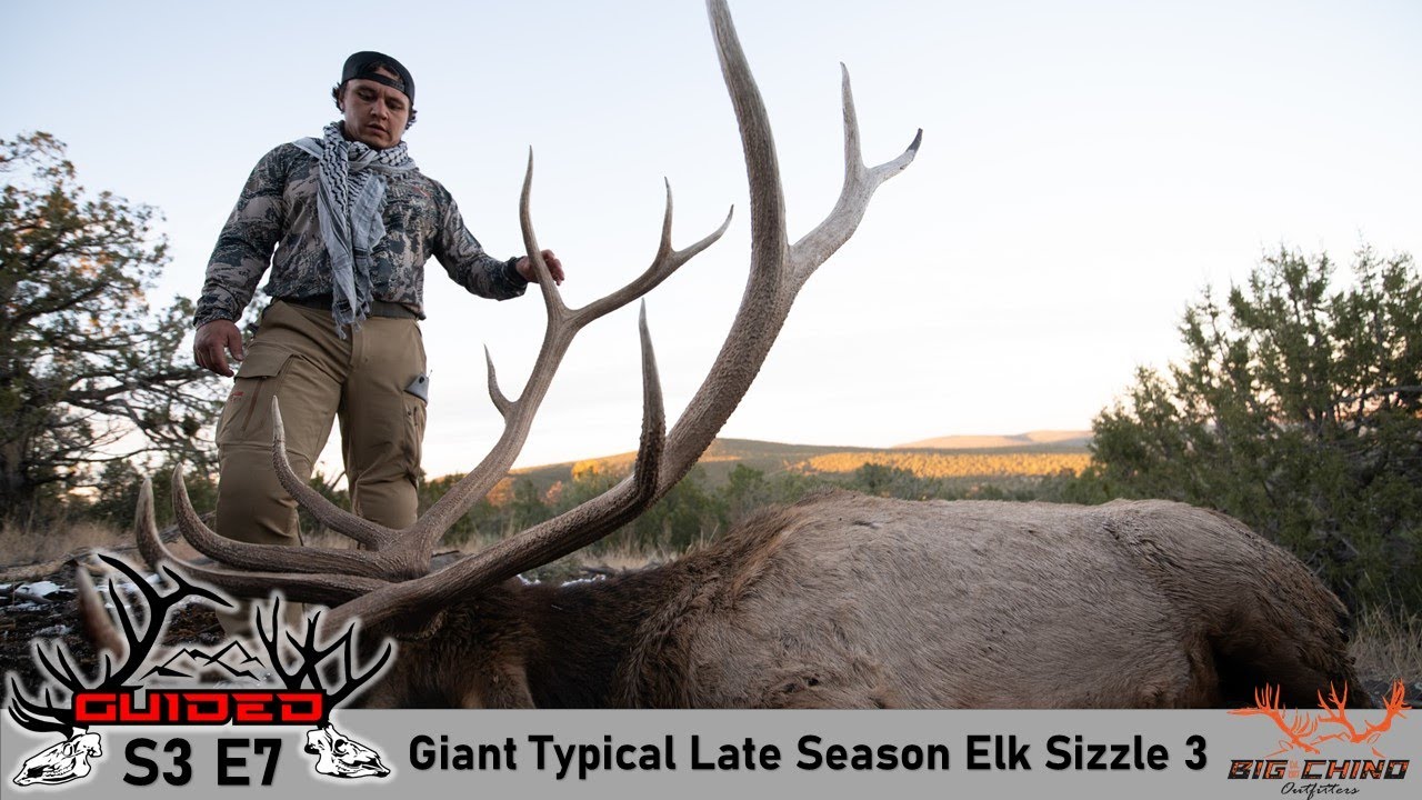 Giant Typical Late Season Elk Sizzle 3 - YouTube
