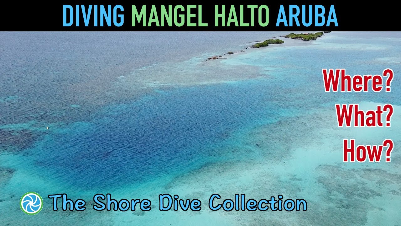 Diving Mangel Halto, Aruba | The Shore Dive Collection | TropicLens ...