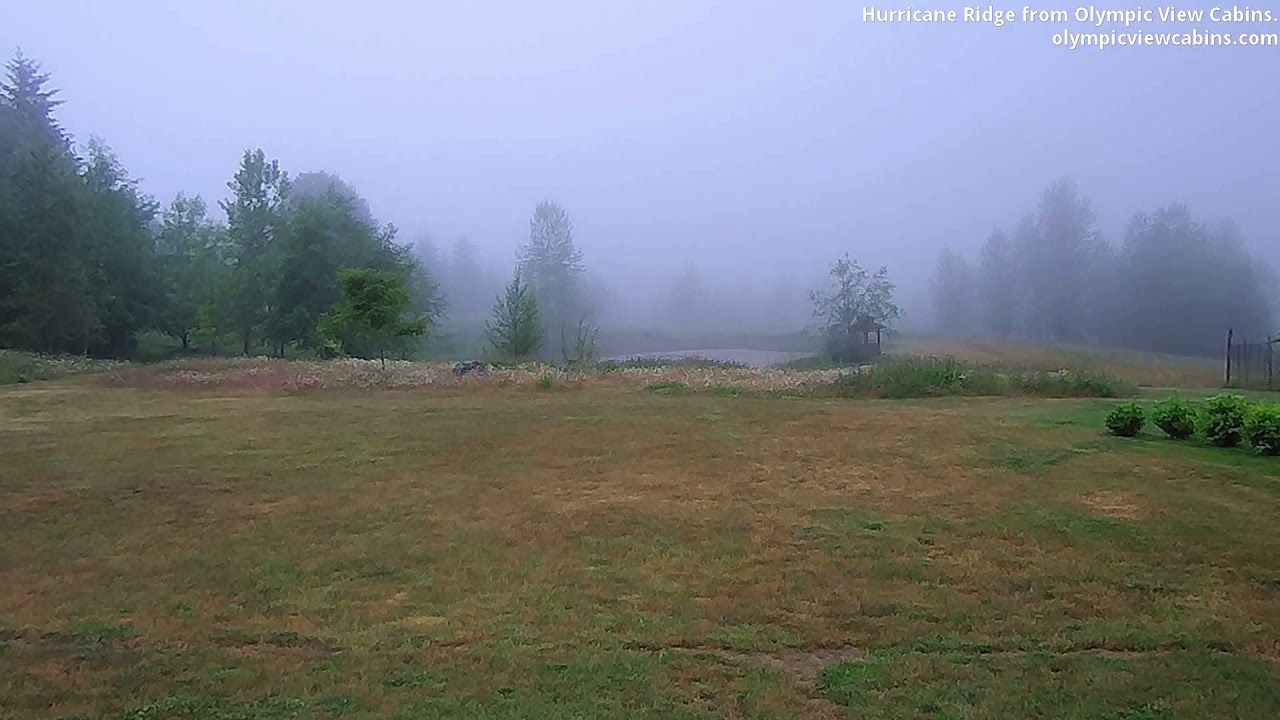 2019-06-27 Olympic View Cabins Hurricane Ridge Cam - YouTube