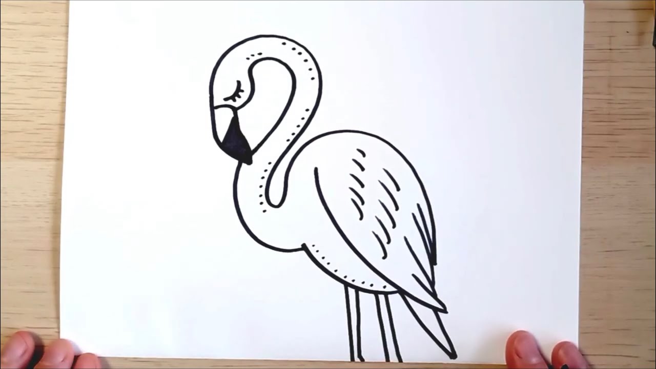 How to draw a flamingo in 1 minute! - YouTube
